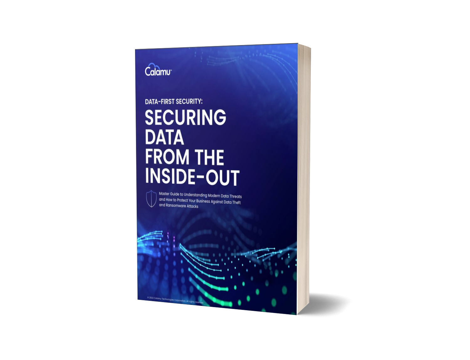 Data First Security Master Guide: Securing Data From the Inside Out